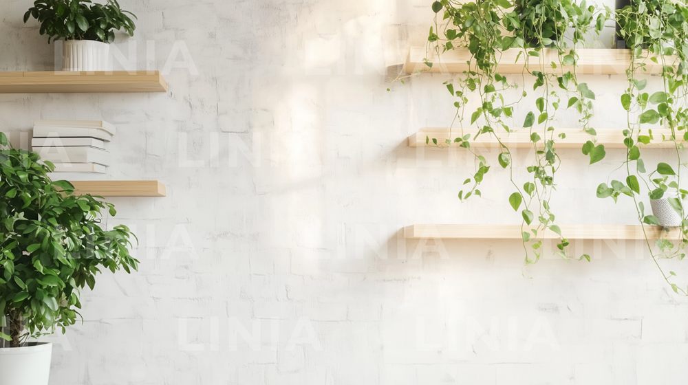 desktop background shelves